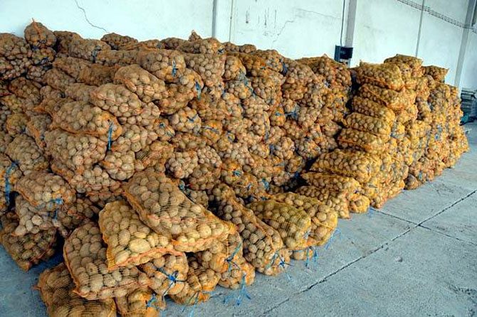 AKP'nin köfte patates siyaseti! - Sözcü