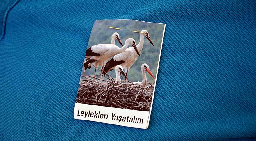 Muğla'daki Karagöl kurudu, leylekler bölgeyi terk etti - Sözcü