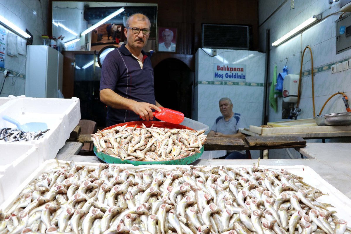 Uzmanlar balık sektöründeki değişim için ne diyor? - Sözcü