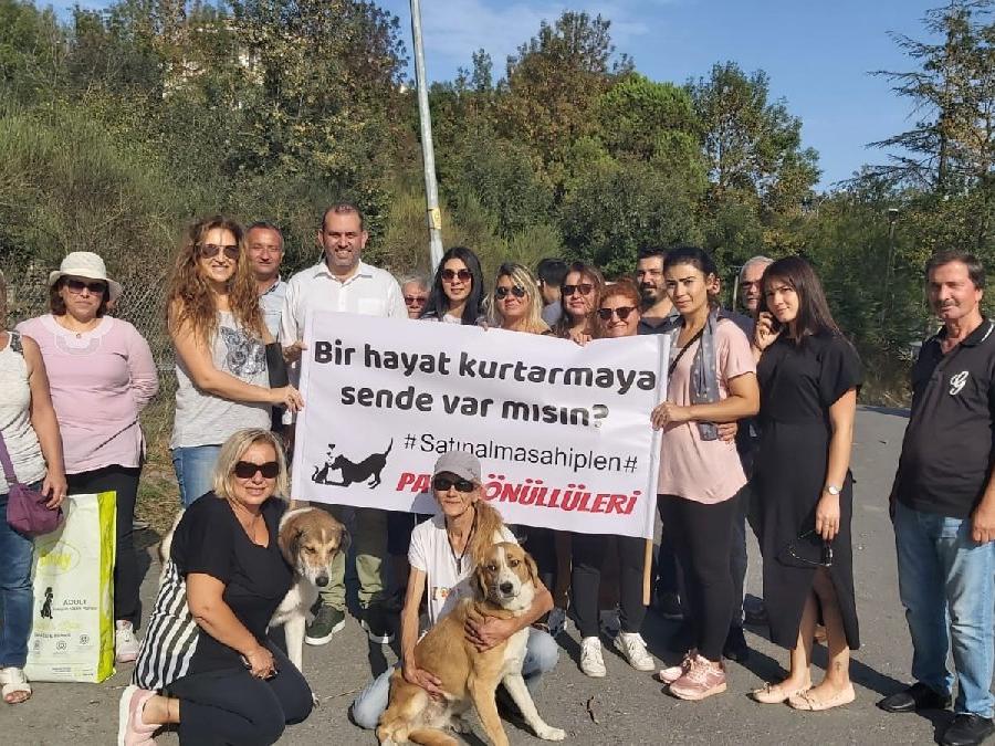 İYİ Parti’den dünya hayvanları koruma günü etkinliği - Sözcü