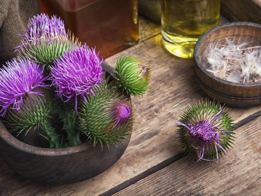 Deve dikeninin faydaları nelerdir? Deve dikeni neye iyi gelir?