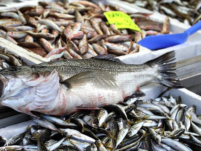 'Levrek kıtlığında' 3 balık, 1600 liraya satıldı! - Sözcü