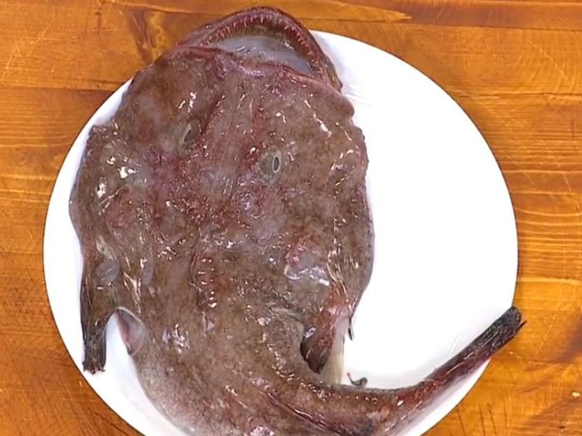 Fener balığı hangi balık türüdür? Fener balığının özellikleri nelerdir?