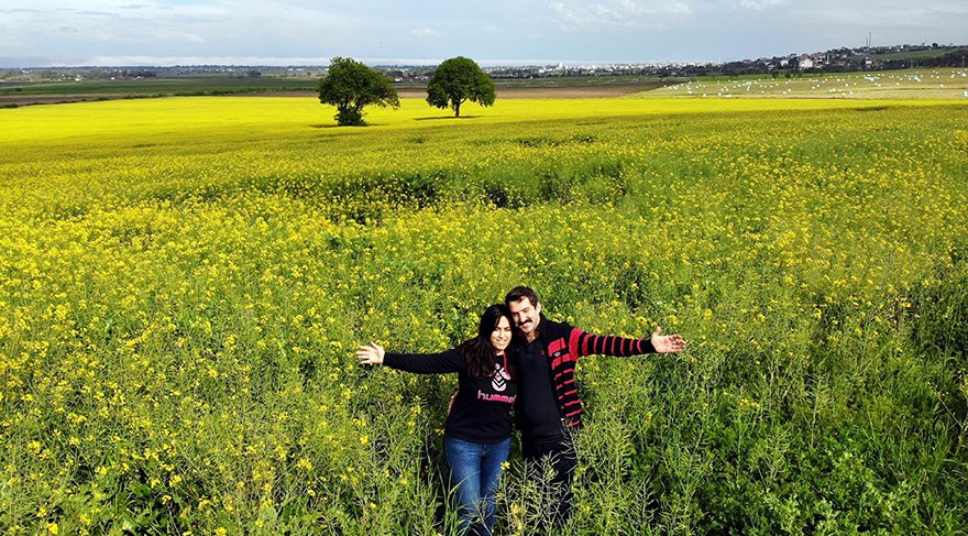 Kanola bahçesinden kartpostallık görüntüler - Sözcü