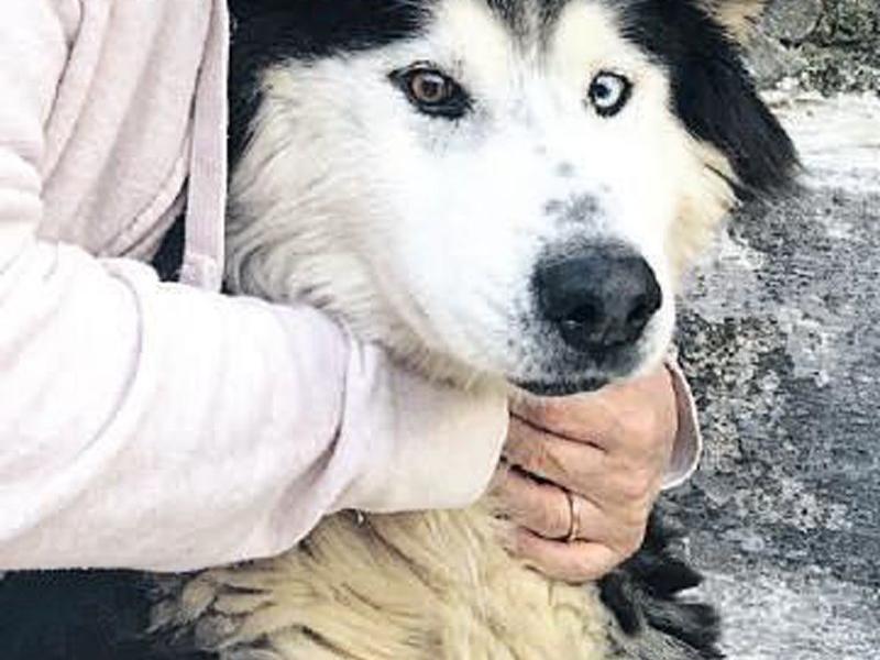 Sezar'a veda - Ercan Taner - Sözcü