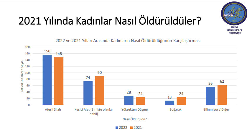 TKDF, kadın cinayetleri verilerini açıkladı - Sözcü