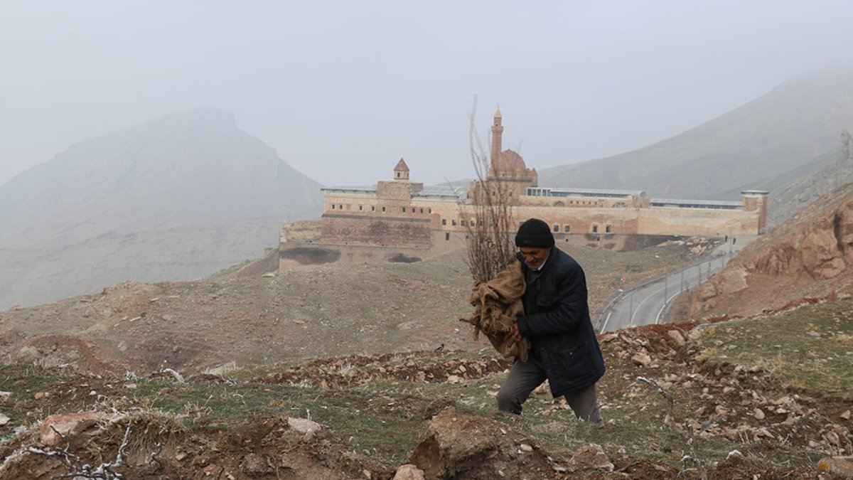 İshak Paşa Sarayı yeşilleniyor - Sözcü