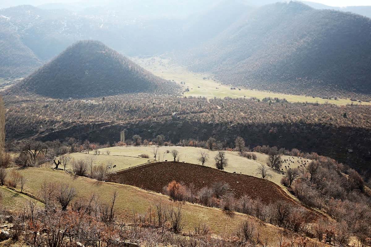 Beklenen kar yağmadı hayvanlar hâlâ merada - Sözcü