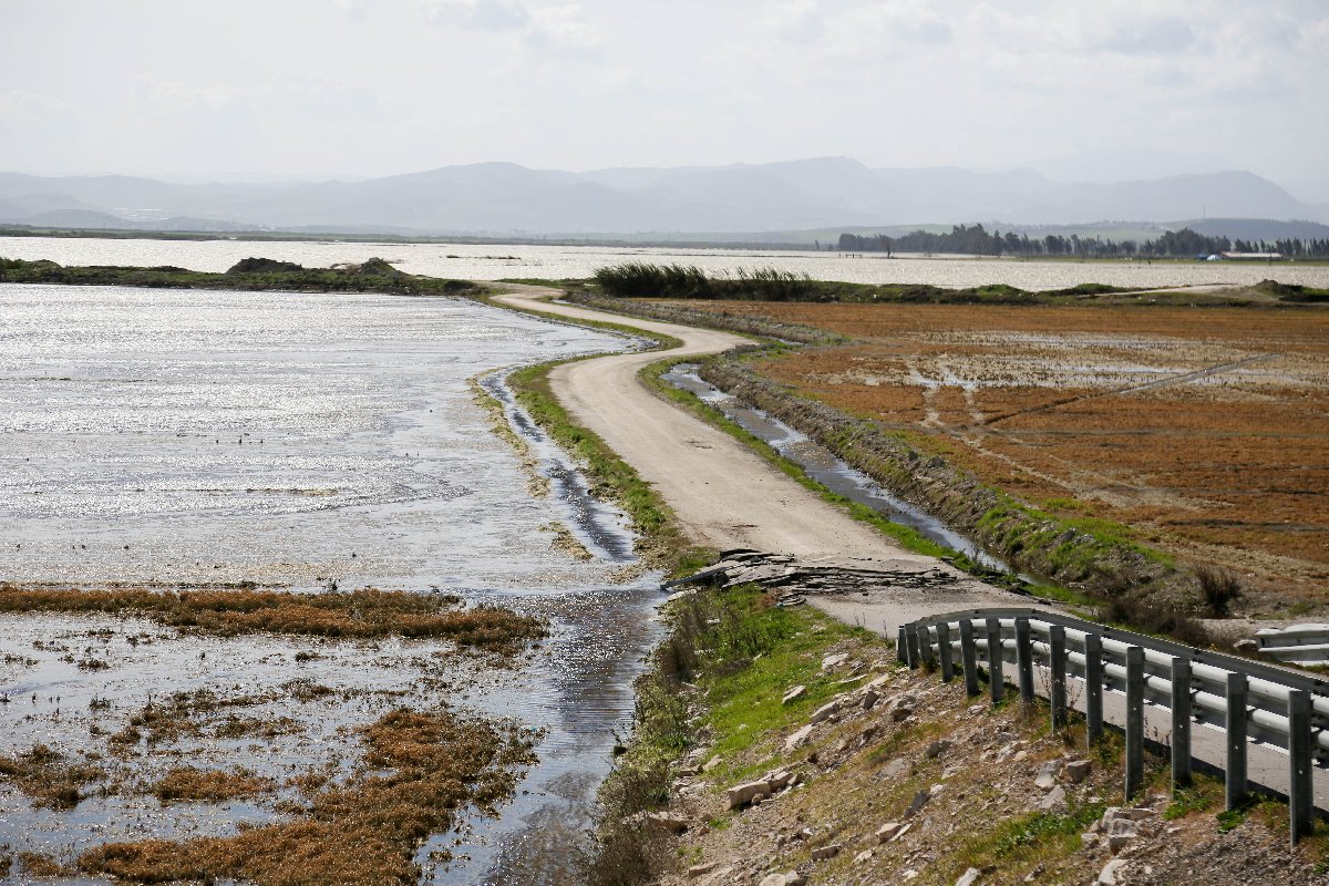 Kurutulan Amik Gölü havzasında depremler sonrası su yükseldi - Sözcü
