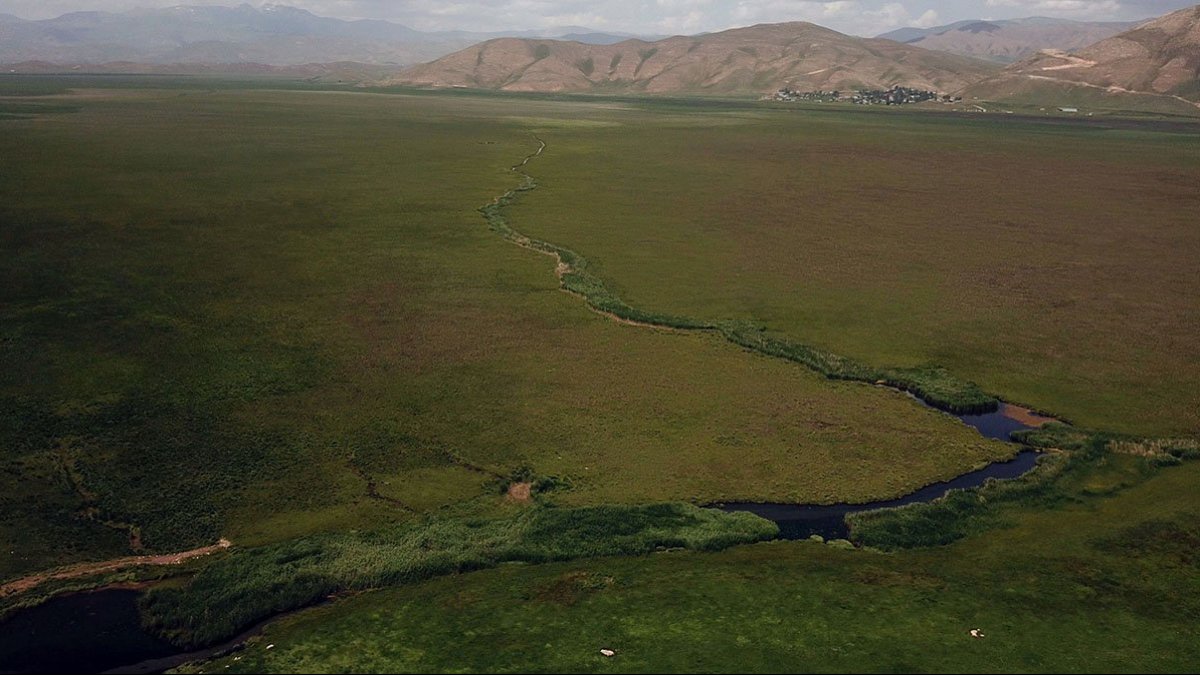 Nehil Sazlığı'nda kuş sayısı yüzde 50 azaldı - Sözcü