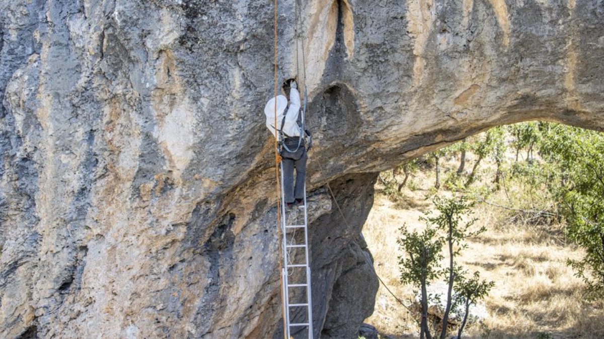Sarp kayalıklarda yaban arılarının izini sürerek bal topluyorlar - Sözcü